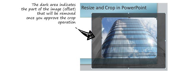 How To Crop And Resize Images In PowerPoint