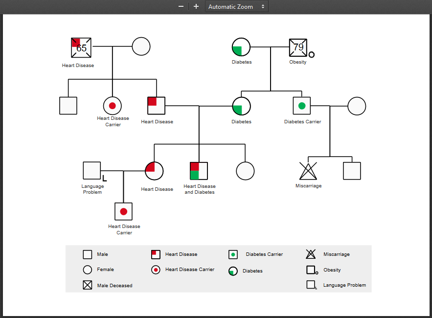 Free Genogram Template Microsoft Word