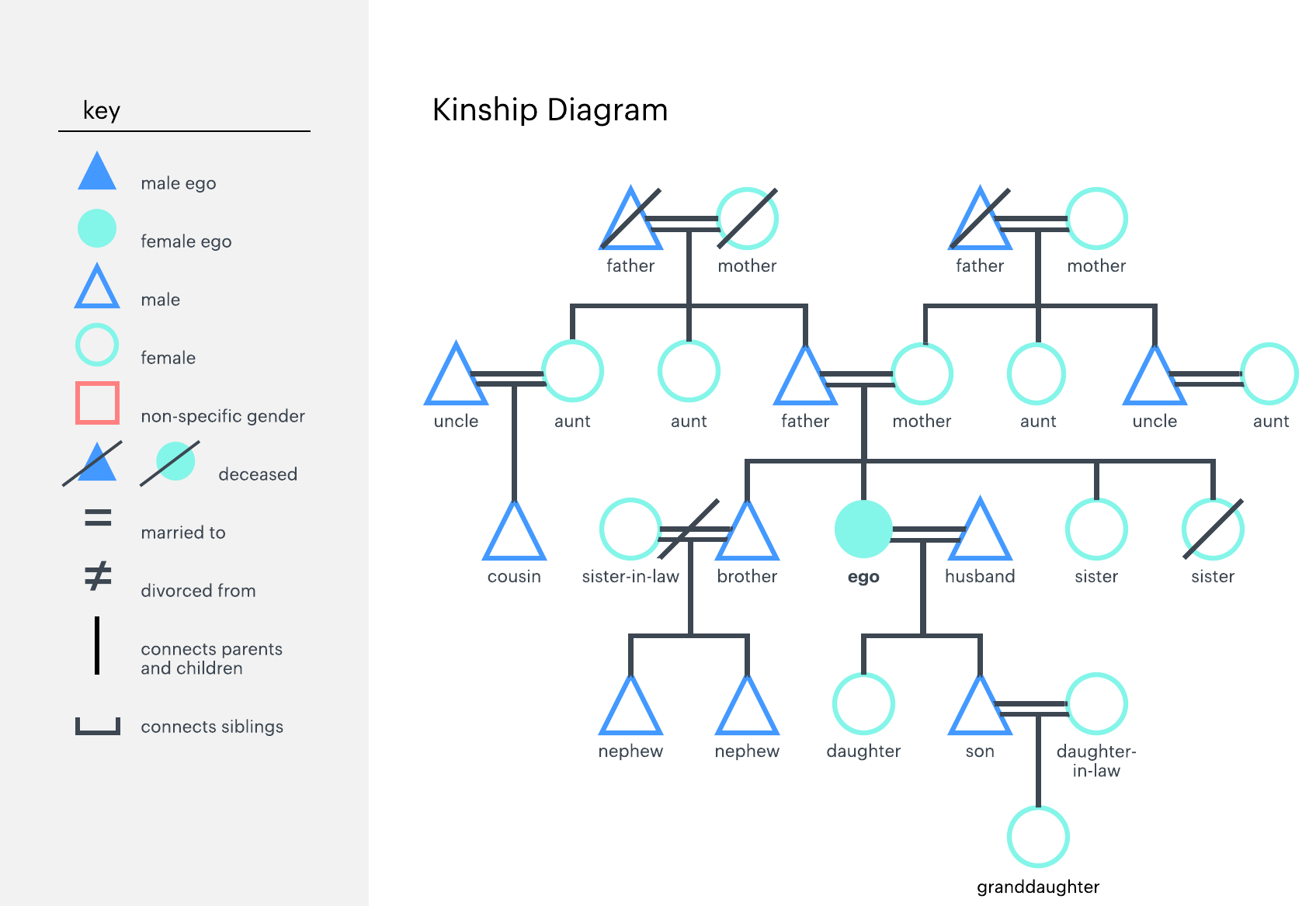 Genogram Template Social Work