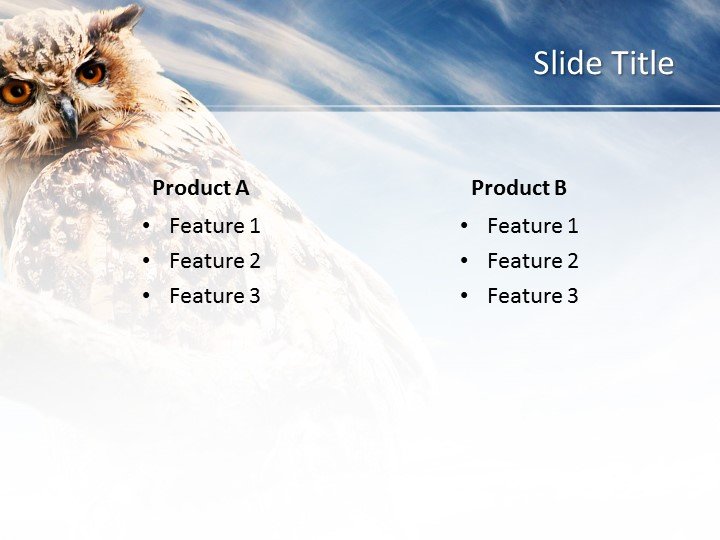160043-owl-template-4x3-4 - Free PowerPoint Templates
