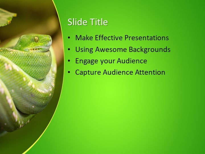 160111-snake-template-4x3-3 - Free PowerPoint Templates