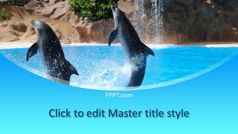 160120-dolphins-template-16x9-1 - Free PowerPoint Templates
