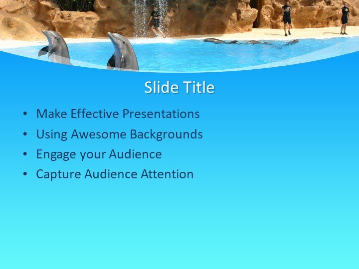 160120-dolphins-template-4x3-2 - Free PowerPoint Templates