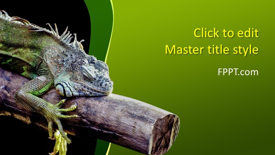 Free Iguana PowerPoint Template - Free PowerPoint Templates