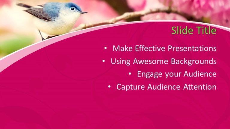 160317-bird-template-16x9-2 - Free PowerPoint Templates