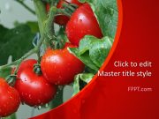 Free Tomatoes PowerPoint Template - Free PowerPoint Templates