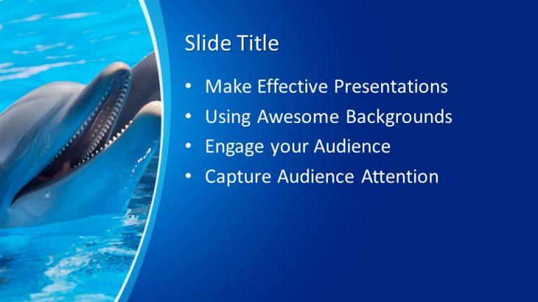 160390-dolphin-template-16x9-3 - Free PowerPoint Templates