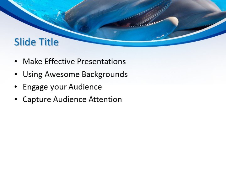 160390-dolphin-template-4x3-2 - Free PowerPoint Templates