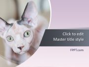 Free Cat PowerPoint Templates