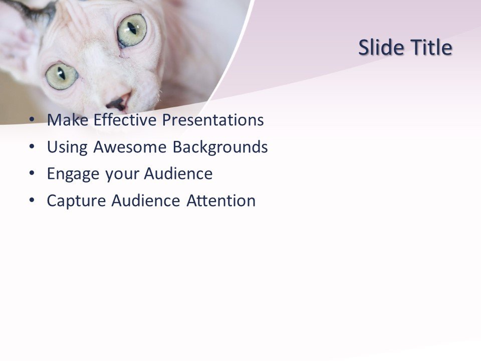 160518-cat-template-4x3-2 - Free PowerPoint Templates 160518-cat-template-4x3-2 - Free PowerPoint Templates