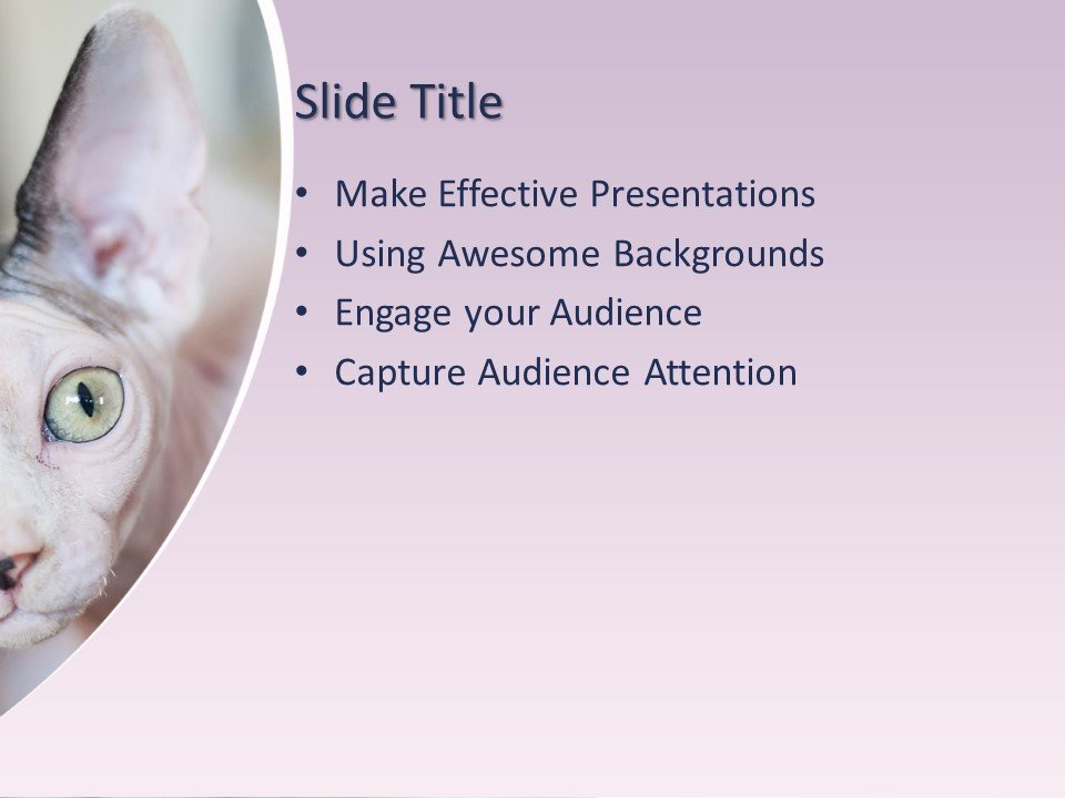 160518-cat-template-4x3-3 - Free PowerPoint Templates