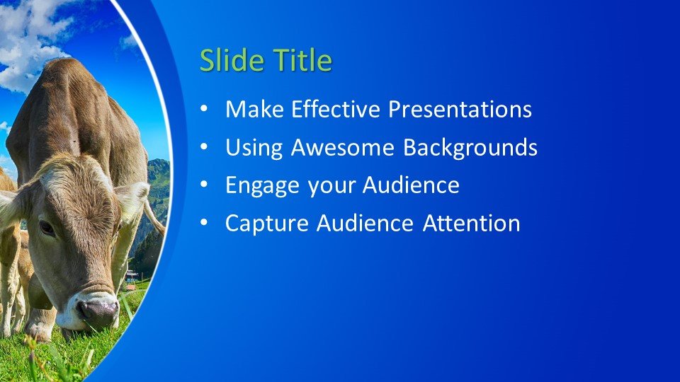 Free Cows PowerPoint Template Free PowerPoint Templates
