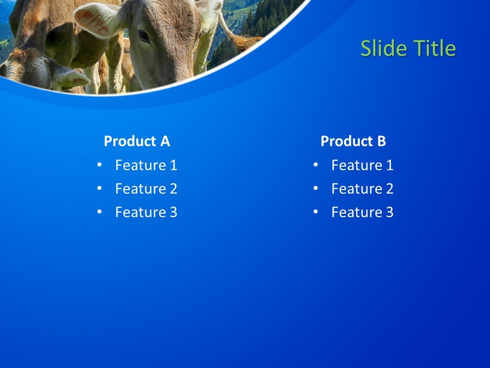 160595-cows-template-4x3-4 - Free PowerPoint Templates