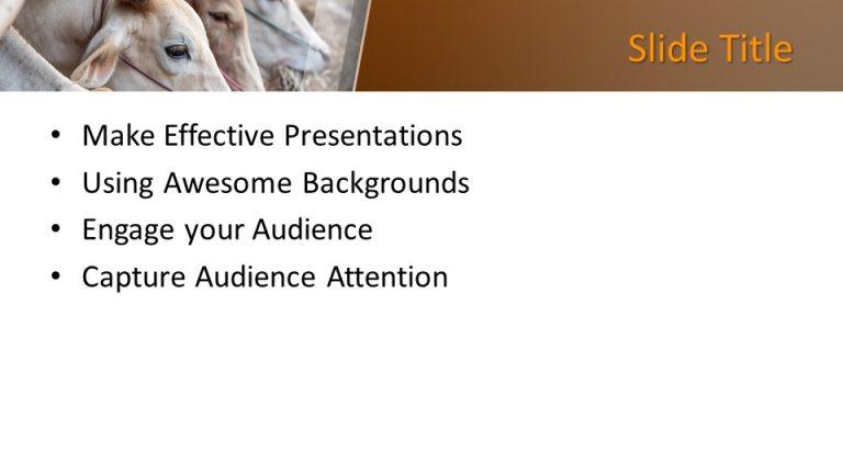 160895-caws-template-16x9-2 - Free PowerPoint Templates