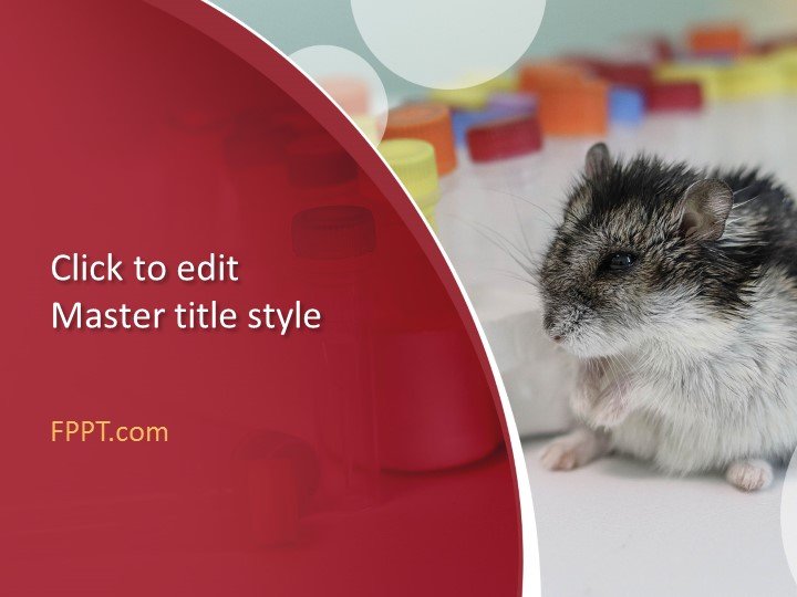 Free Lab Rat PowerPoint Template - Free PowerPoint Templates